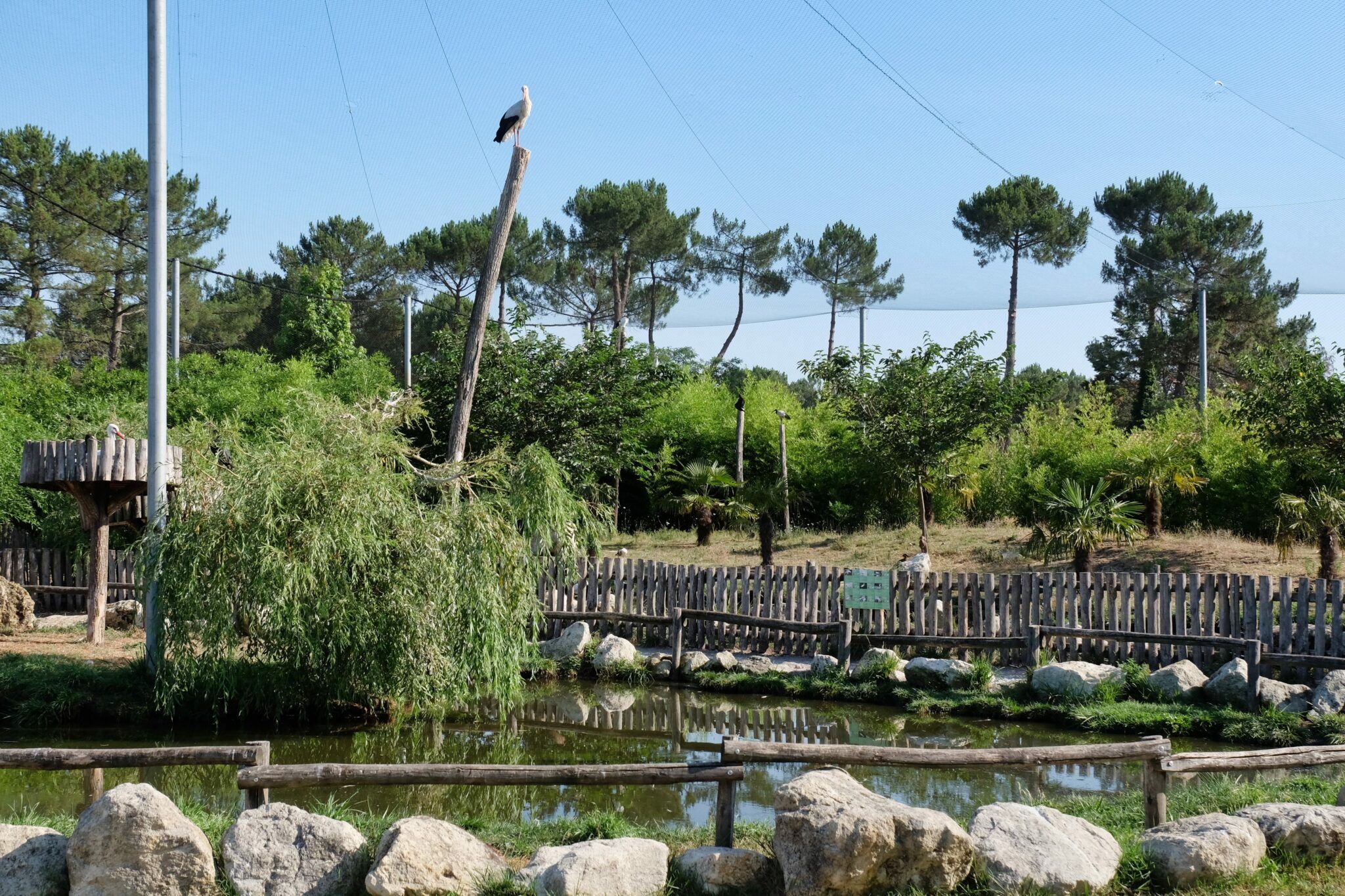 Histoire du zoo, Zoo du Bassin d'Arcachon, Aquitaine